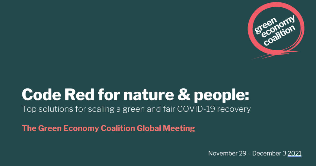 GEC Global Meeting 2021: Summary and… | Green Economy Coalition