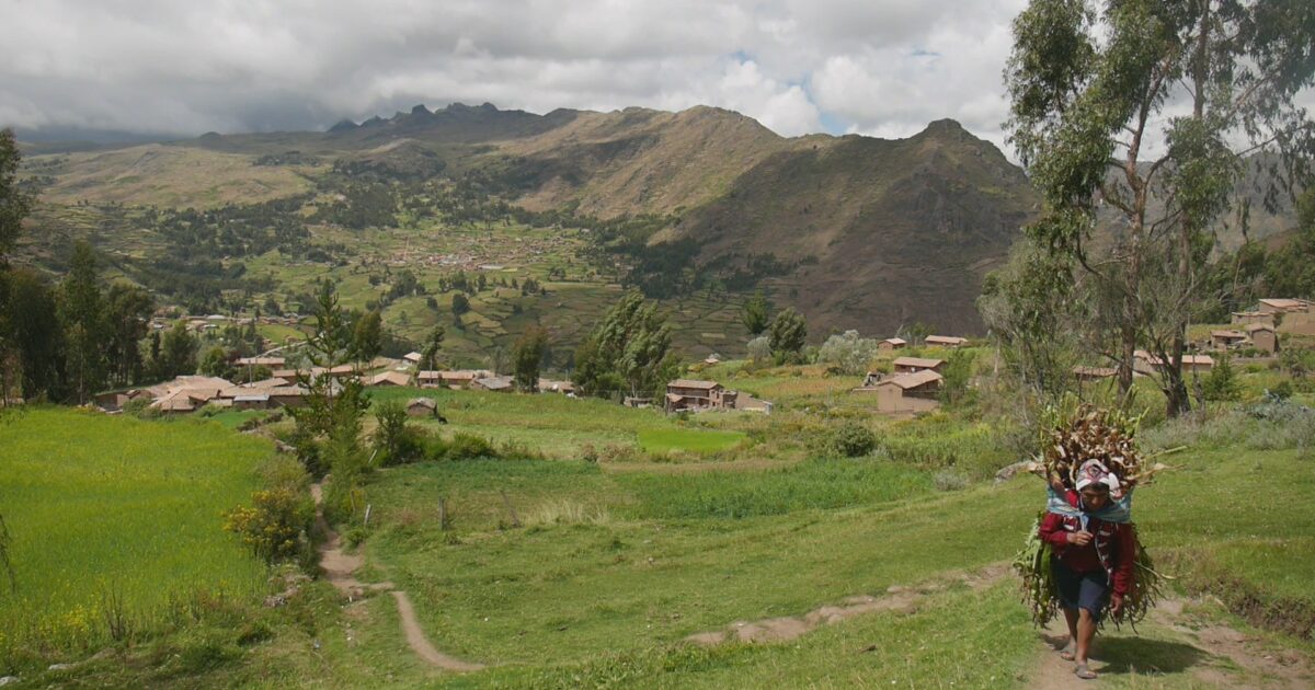 Here's why Indigenous economics is the key… | Green Economy Coalition