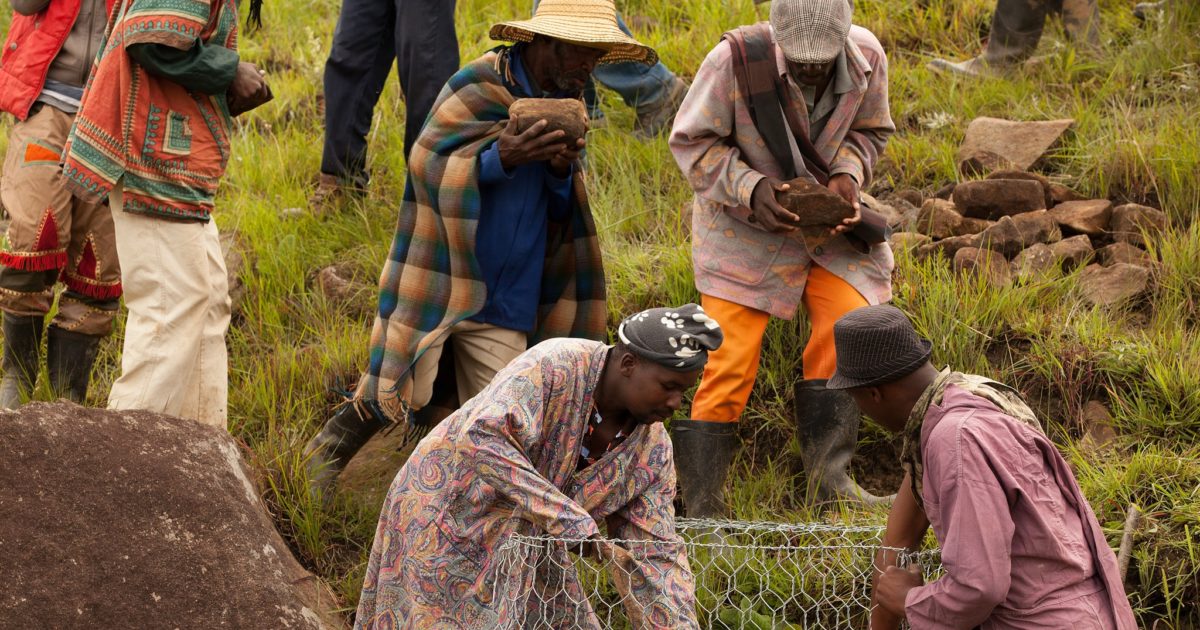 Working for water in South Africa | Green Economy Coalition